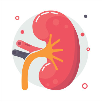 Nephroptosis bilder – Bläddra bland 197 stockfoton, vektorer och videor ...