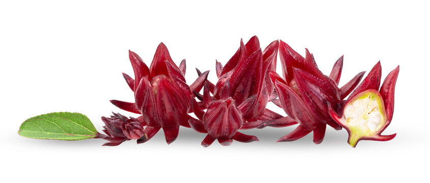 Bissap Images – Parcourir 12,260 le catalogue de photos, vecteurs et ...