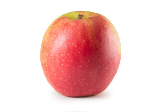 Scifresh Images – Browse 45 Stock Photos, Vectors, and Video | Adobe Stock