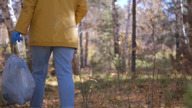 "Forest Cleaning" Images – Browse 156 Stock Photos, Vectors, and Video | Adobe Stock