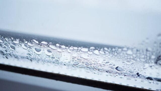 "High Humidity" Images – Browse 862 Stock Photos, Vectors, and Video ...