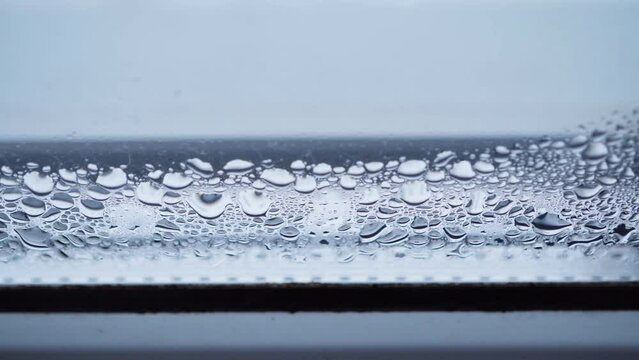 "High Humidity" Images – Browse 862 Stock Photos, Vectors, and Video ...