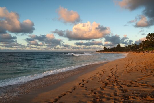 Ehukai Images – Browse 65 Stock Photos, Vectors, and Video | Adobe Stock