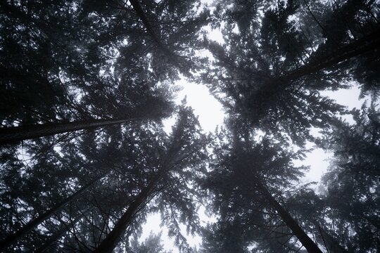 Ascend Images – Browse 133,022 Stock Photos, Vectors, and Video | Adobe ...