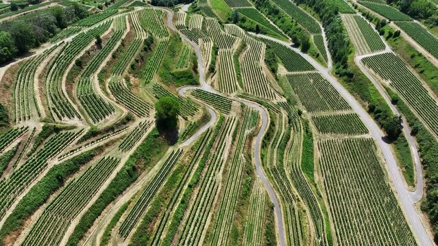 Ebonite Images – Parcourir 562 le catalogue de photos, vecteurs et ...