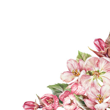 Cherry Blossom Corner Border Images – Browse 1,486 Stock Photos ...