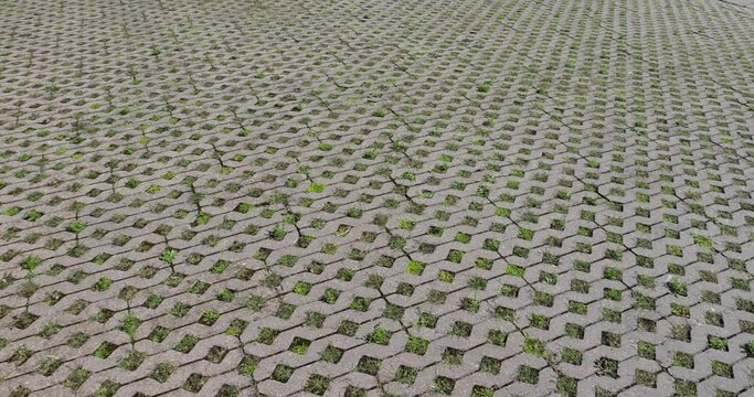 Grass Texture Tile Images – Browse 68,861 Stock Photos, Vectors, and ...