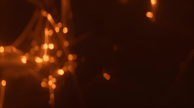 Bedazzled Images – Browse 5,519 Stock Photos, Vectors, and Video ...