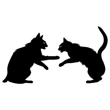 "Cat Fight" Images – Browse 1,448 Stock Photos, Vectors, and Video ...