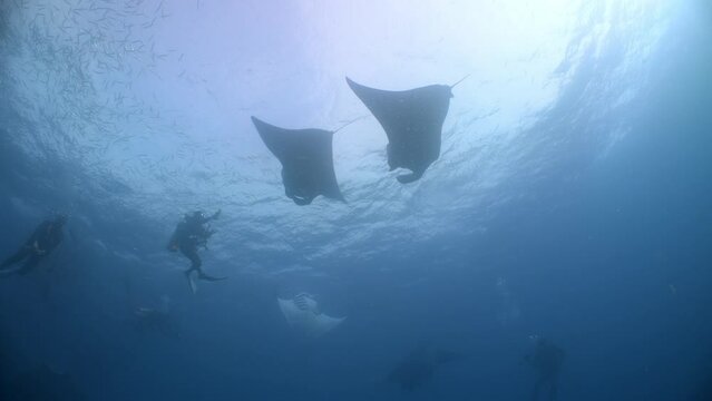 รูปภาพ"Palau – เลือกดูภาพถ่ายสต็อก เวกเตอร์ และวิดีโอ35,314 | Adobe Stock