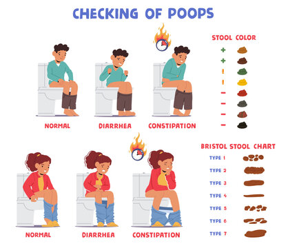 Healthy Human Poop Chart