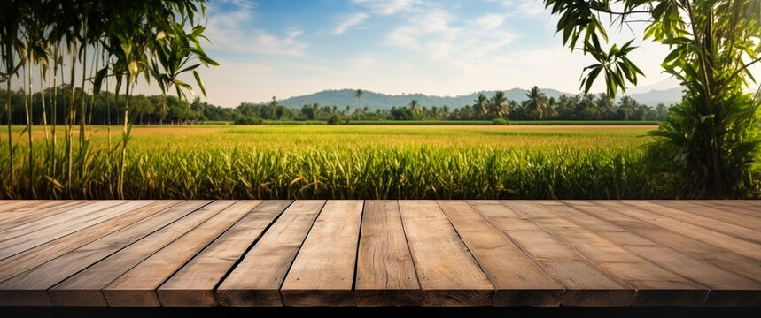 Tabletop Rice Field Backdrop Images – Browse 390 Stock Photos, Vectors ...