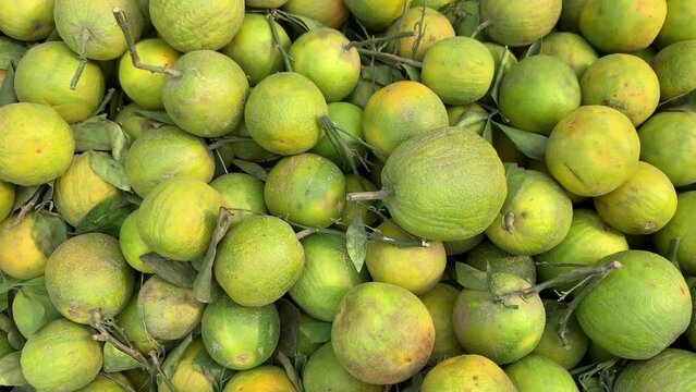 "Sweet Lime" Images – Browse 2,581 Stock Photos, Vectors, and Video ...