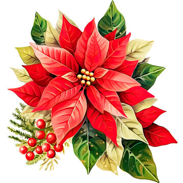 "Winter Bouquet" Images – Browse 793 Stock Photos, Vectors, and Video | Adobe Stock