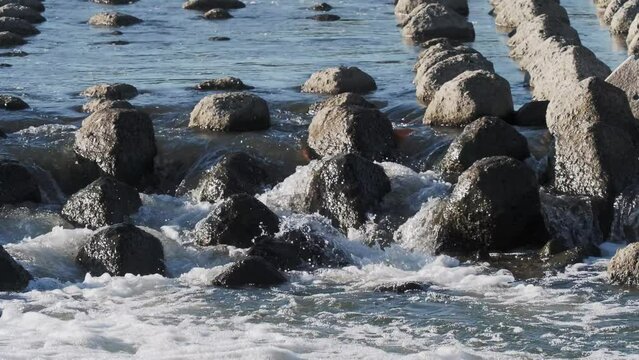 Cibophobia bilder – Bläddra bland 8,365 stockfoton, vektorer och videor ...