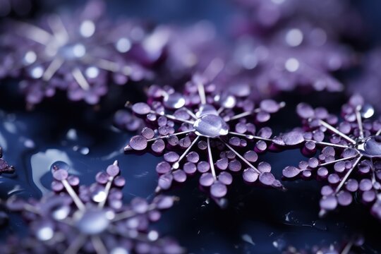 Snowflakers Images – Browse 43 Stock Photos, Vectors, and Video | Adobe ...