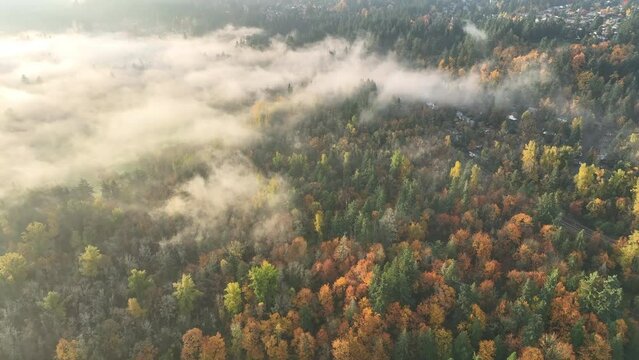 Shorter Images – Browse 2,401 Stock Photos, Vectors, and Video | Adobe ...