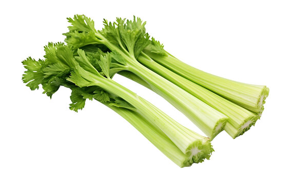 "Celery Stalks" Imagens – Procure 272 fotos, vetores e vídeos | Adobe Stock