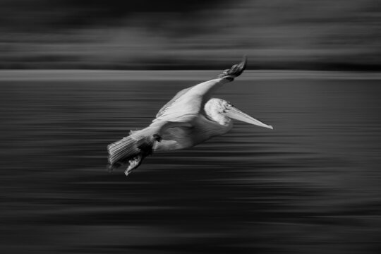 "Slow Pan" Images – Parcourir 1,078 le catalogue de photos, vecteurs et ...