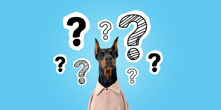 Dog Question Mark Images – Browse 1,053 Stock Photos, Vectors, and ...