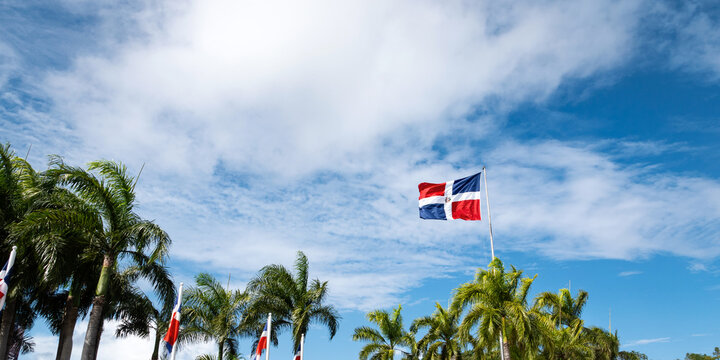 Punta Cana Flag