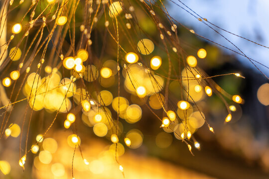 Rotundity Images – Browse 6,349 Stock Photos, Vectors, and Video ...