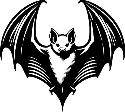 "Aerial Acrobat" Images – Browse 294 Stock Photos, Vectors, and Video ...