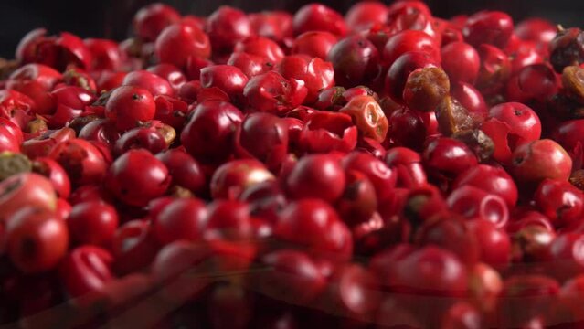 "Rose Pepper" Images – Browse 1,562 Stock Photos, Vectors, and Video ...