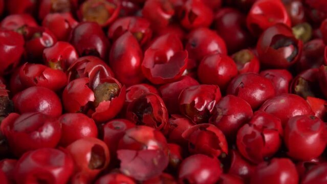 "Rose Pepper" Images – Browse 1,562 Stock Photos, Vectors, and Video ...
