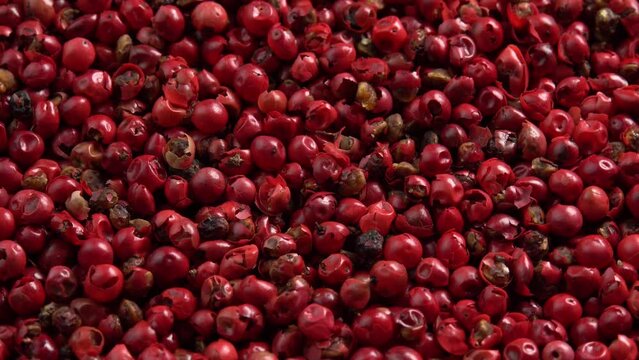 "Rose Pepper" Images – Browse 1,562 Stock Photos, Vectors, and Video ...