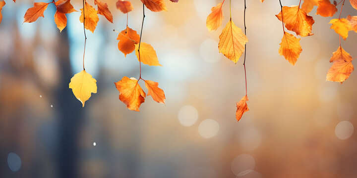 "Fall Landscape" Bilder – Durchsuchen 4,559 Archivfotos, Vektorgrafiken ...