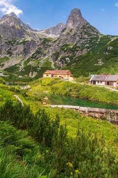 Plese Images – Browse 61 Stock Photos, Vectors, and Video | Adobe Stock