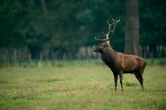 lucaar Fotos, Bilder, Stockmedien | Adobe Stock