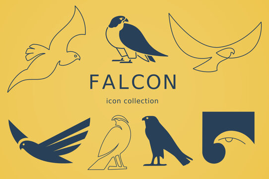 Falcon Images – Browse 85,387 Stock Photos, Vectors, and Video | Adobe ...