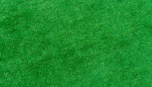 "Green Grass Background" Imagens – Procure 3,245 fotos, vetores e ...