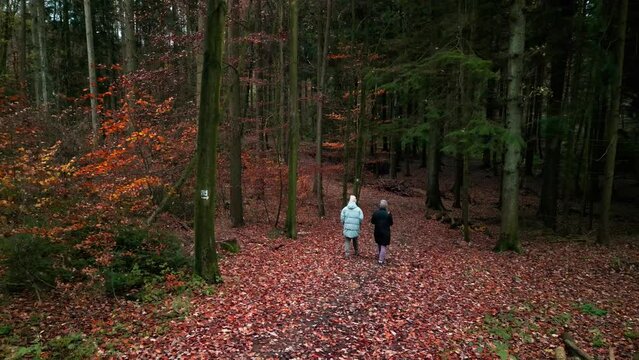 "October Day" Images – Browse 170 Stock Photos, Vectors, and Video ...