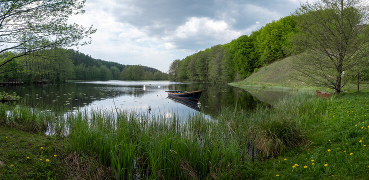 Turtul Images – Browse 91 Stock Photos, Vectors, and Video | Adobe Stock