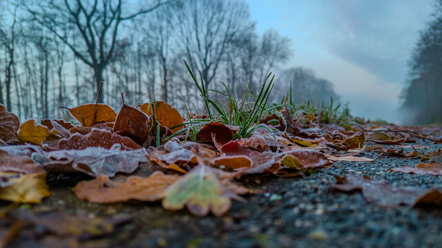 "Ground Shot"-Bilder: Stock-Fotos & -Videos. | Adobe Stock