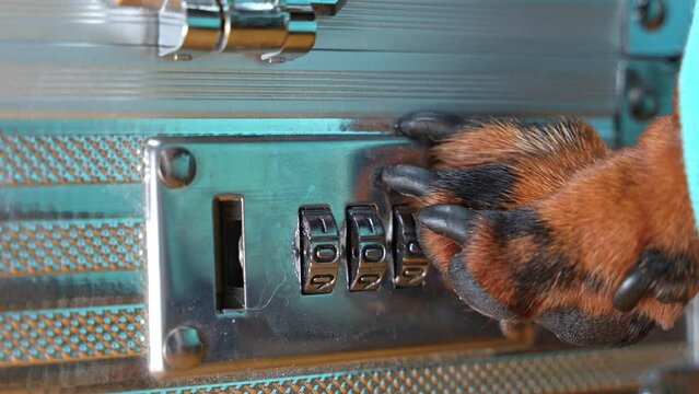 Unlock Value Images – Browse 1,210 Stock Photos, Vectors, and Video ...