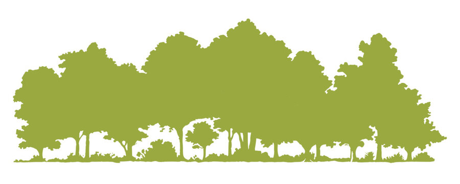 tree line vector png