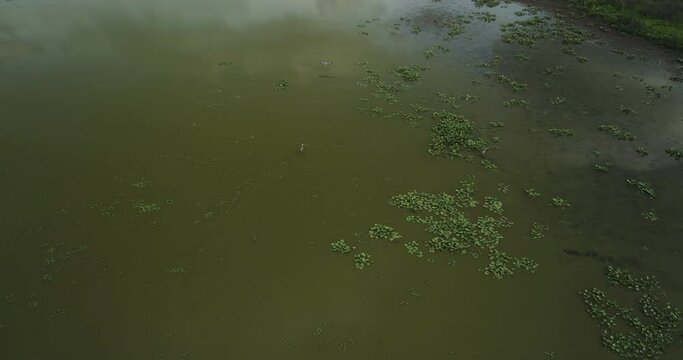 Imágenes de Spiled: descubre bancos de fotos, ilustraciones, vectores y ...