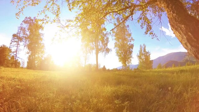 Mechanize Images – Browse 62,732 Stock Photos, Vectors, and Video ...