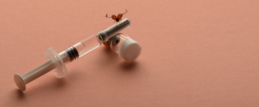 "Type 1" Bilder – Durchsuchen 2,702 Archivfotos, Vektorgrafiken und ...