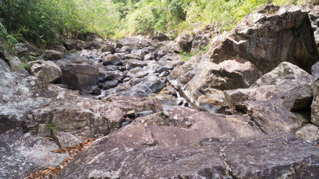 รูปภาพBulacan – เลือกดูภาพถ่ายสต็อก เวกเตอร์ และวิดีโอ340 | Adobe Stock