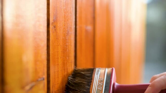 Stained Plywood Images – Browse 8,599 Stock Photos, Vectors, and Video ...