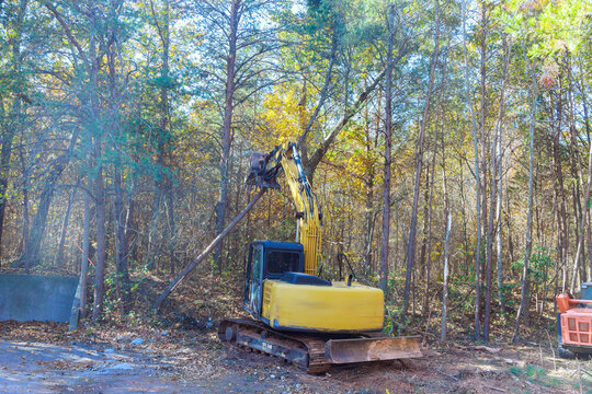 "Destroyed Forest" Bilder – Durchsuchen 890 Archivfotos, Vektorgrafiken ...