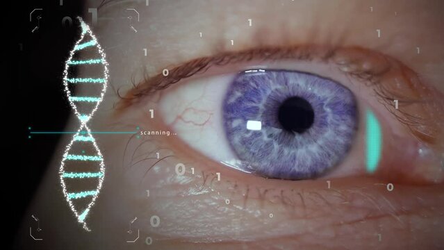 Retina Graphics Images – Browse 12,736 Stock Photos, Vectors, and Video ...