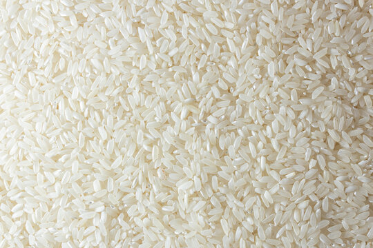 "Rice Background" Images – Browse 506 Stock Photos, Vectors, and Video ...