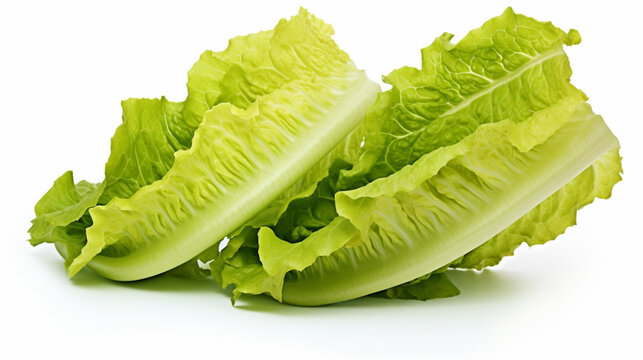 Bcm Images – Browse 12,737 Stock Photos, Vectors, and Video | Adobe Stock