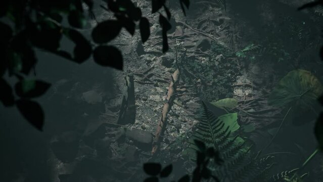 "Deep Jungle" Bilder – Durchsuchen 469 Archivfotos, Vektorgrafiken und ...
